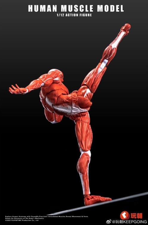 Human Muscle Man (Red Ver.) 1/12 Scale Action Figure | Ninja Toyz