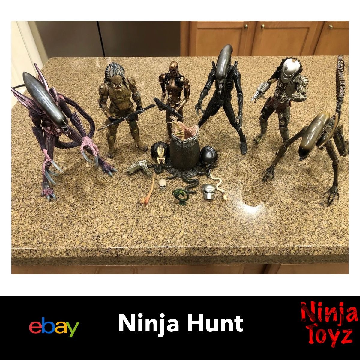 Ninja Toyz