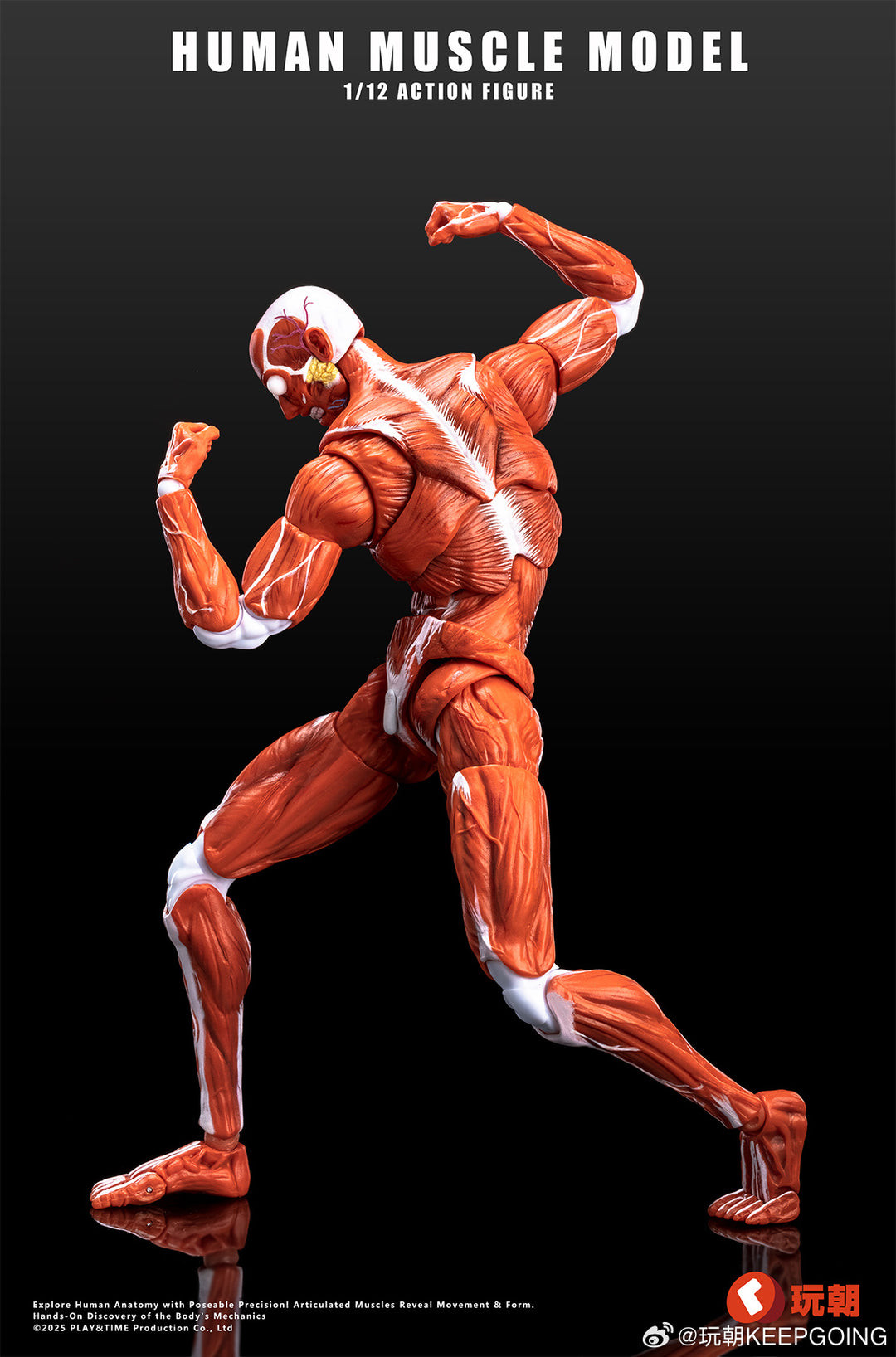 Keepgoing Studio 1/12 Human Muscle Model Action Figure Red | Ninja Toyz